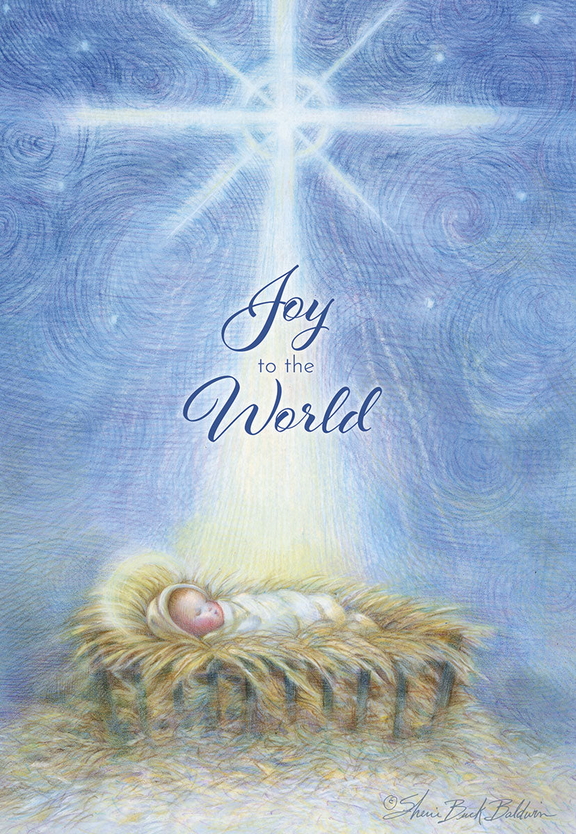 Baby Jesus Asleep in Manger Boxed Christmas Glitter Cards | Leanin' Tree