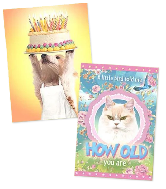 What to Write in a Birthday Card | Leanin' Tree